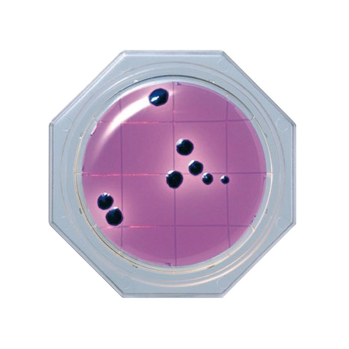 フードスタンプ® MLCB寒天（サルモネラ用） | 臨床診断薬分野 医療関係者向けサイト | 島津ダイアグノスティクス株式会社